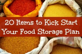 20 Items to Start Your Food Storage Plan - Backdoor Survival