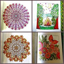 Nine Reasons Why Adult Coloring is Important to Preppers - Backdoor ...