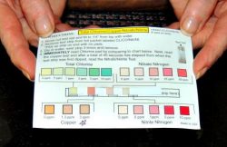 Survival Buzz: How to Test Your Drinking Water - Backdoor Survival