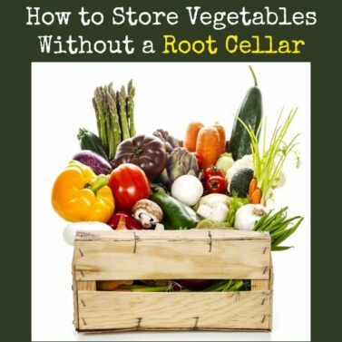 How to Store Vegetables Without a Root Cellar - Backdoor Survival
