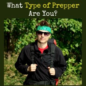 The Prepper's Guide to Aquaponics: Urban and Soil-less Food for When ...