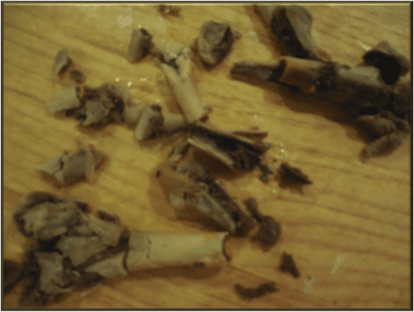 Making Real Homemade Chicken Stock or Bone Broth - Backdoor Survival