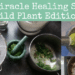10 Best Essential Oils for Healing Wounds and Scrapes - Backdoor Survival
