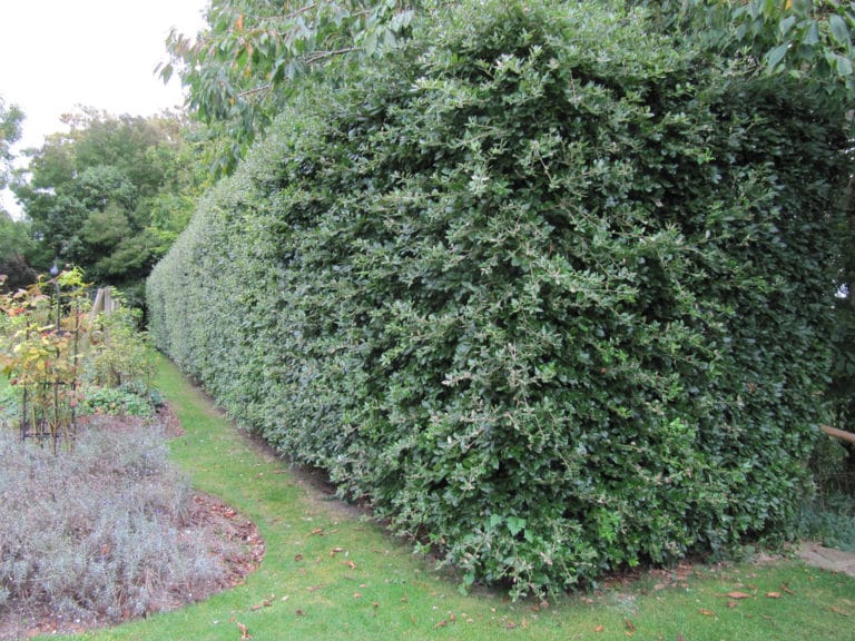 Best Perimeter Security Practices For Preppers - Backdoor Survival