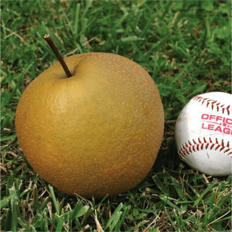 Best Cold Hardy Fruits To Grow At Home - Backdoor Survival