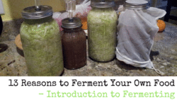 13 Reasons to Ferment Your Own Food: Introduction to Fermenting ...