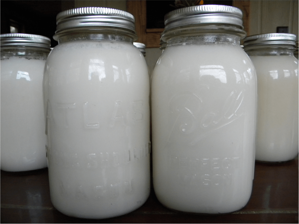 How to Render Lard - Backdoor Survival