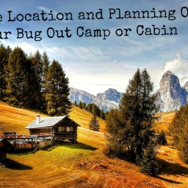 The Amazing Bean: Why You Should Consider Adding Them To Your Food ...