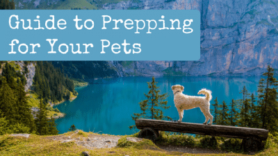 Guide to Prepping for Your Pets - Backdoor Survival