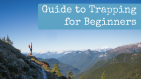 Guide to Trapping for Beginners - Backdoor Survival