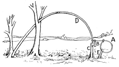 Guide to Trapping for Beginners - Backdoor Survival