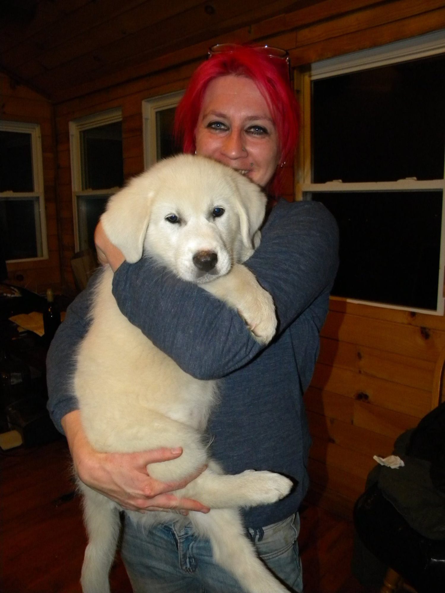 Prepper's Guide To Dogs: Tips For Choosing A Dog For Life's Adventures ...