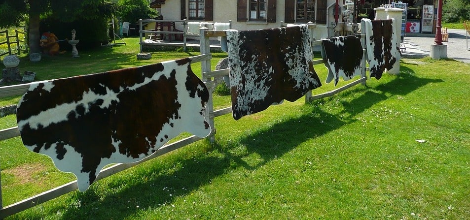 The Ultimate Guide to Using the Whole Carcass - Backdoor Survival