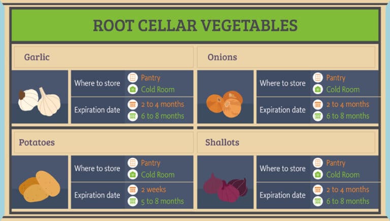 Root Cellaring Basics: Extending the Season Without Canning - Backdoor ...