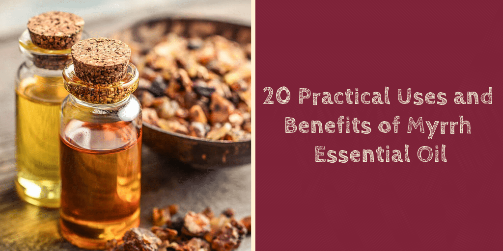 20 Practical Uses and Benefits of Myrrh Essential Oil - Backdoor Survival