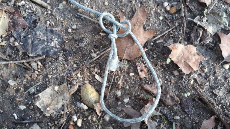 How to Make a Snare Trap to Catch Food - Backdoor Survival