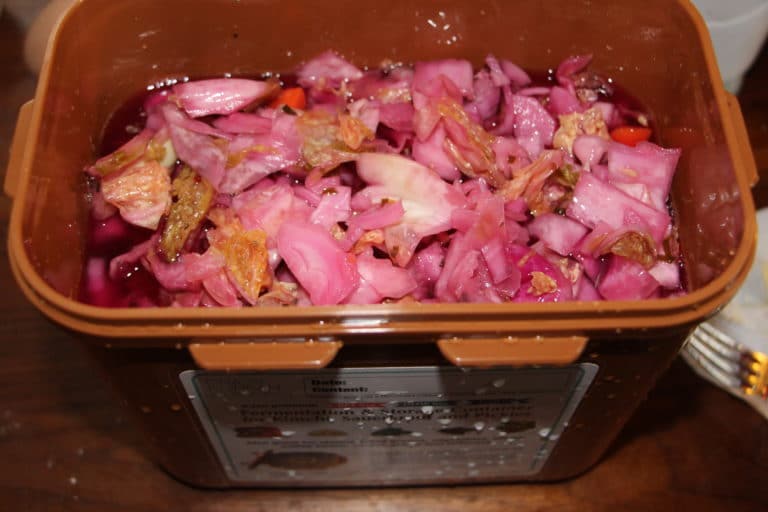 A Review of Crazy Korean Fermentation Containers & How To Make Kimchi ...