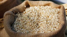 How to Store Rice Long Term