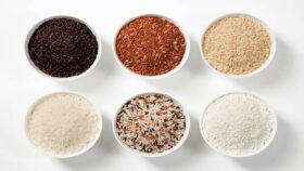 Survival Foods With Long Shelf Life | Top 20 Options